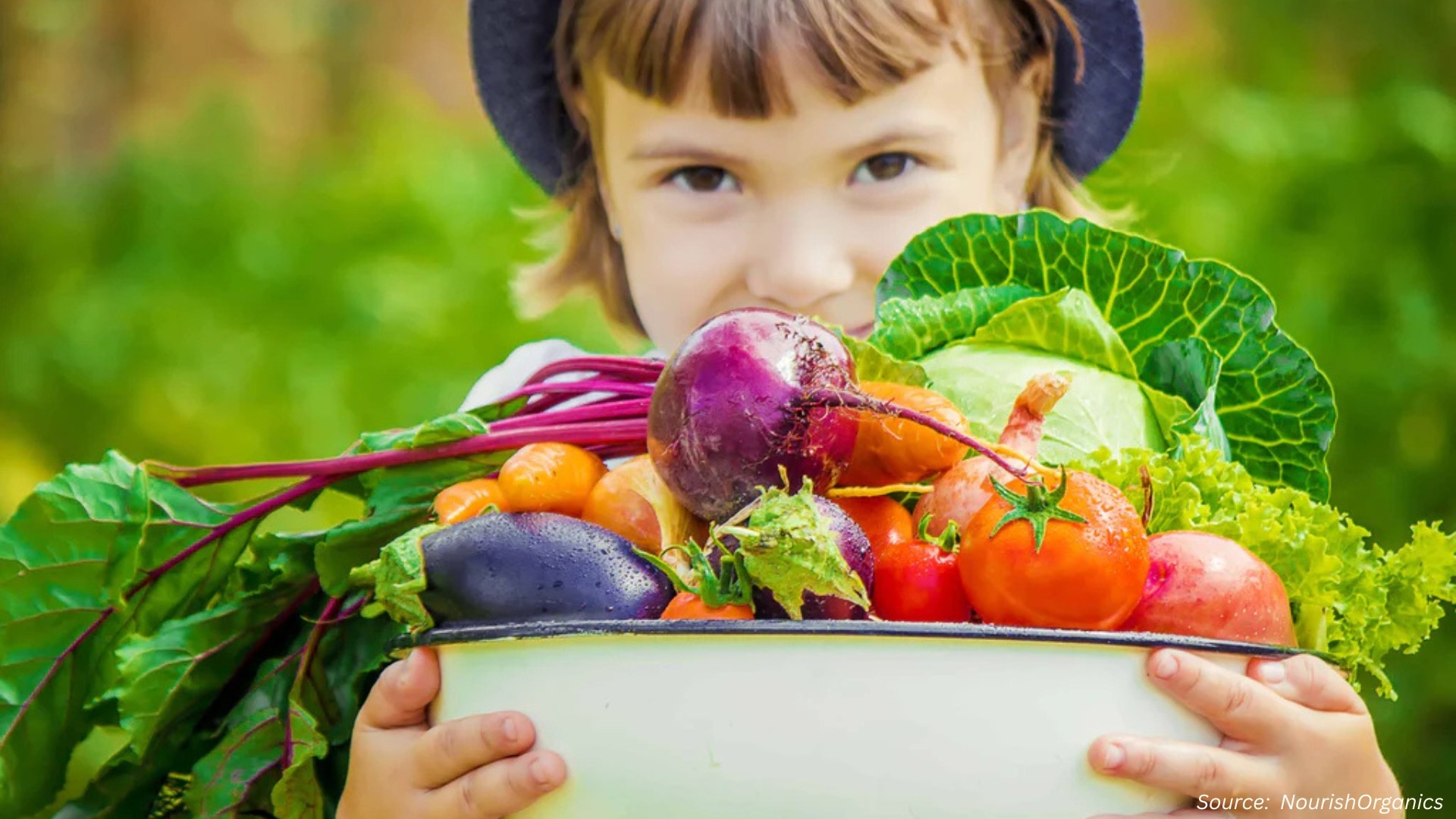 Organic Food Market: 2024–25 Trends, Regions & Deals